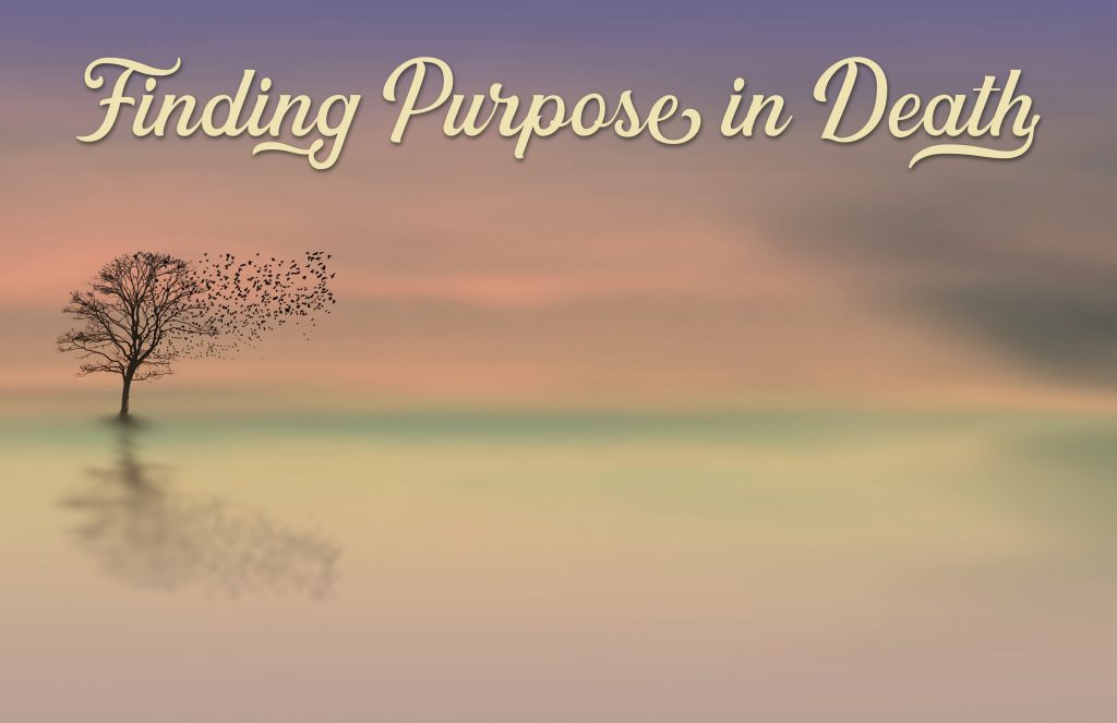 Finding Purpose in Death - Transformation Coaching Magazine