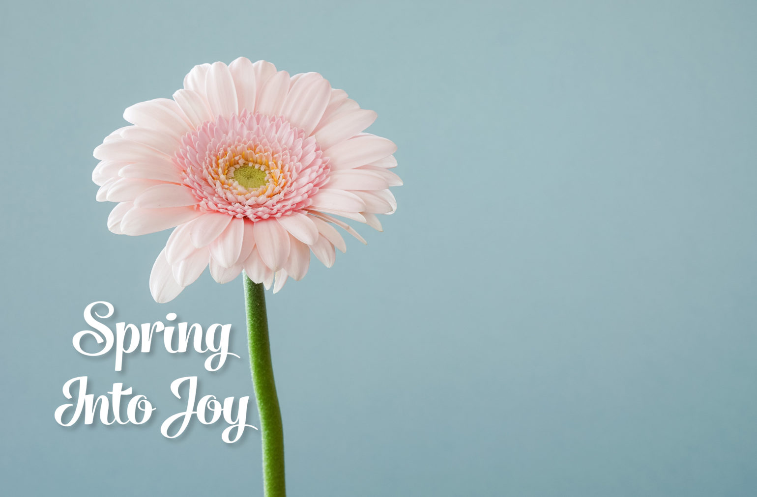 Spring Into Joy - Transformation Coaching Magazine