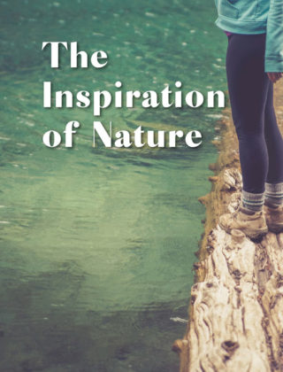 The Inspiration of Nature - Transformation Coaching Magazine